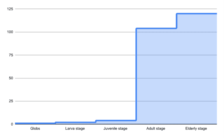 Mystery Snail LifeSpan: 10 Tips For Long Life You’ve Never Considered ...